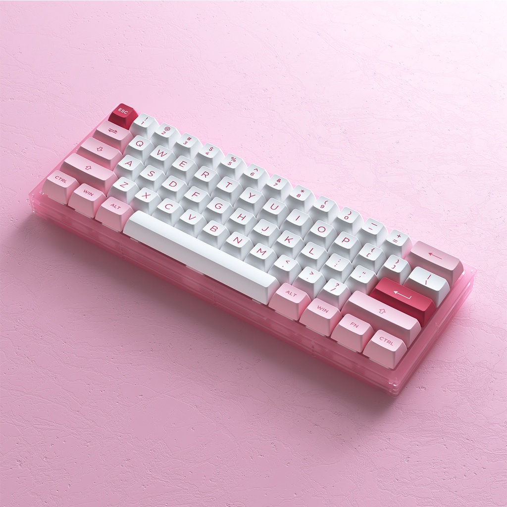 Akko Hot-swappable RGB Mechanical Gaming Keyboard, ACR 61 Acrylic ...