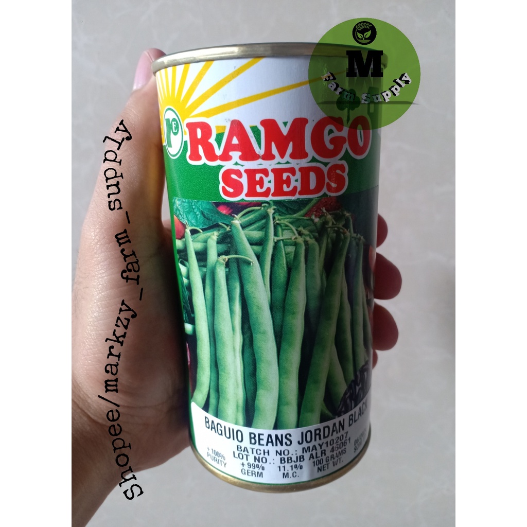 Ramgo Seeds Original and High Quality Baguio beans 100 grams in can ...