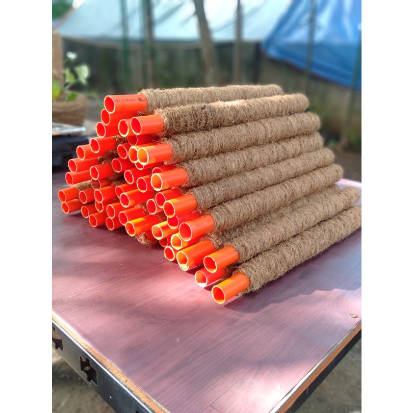 PVC COCO POLE SUPPORT FOR YOUR PLANTS Vines / Creeping For your lovely ...