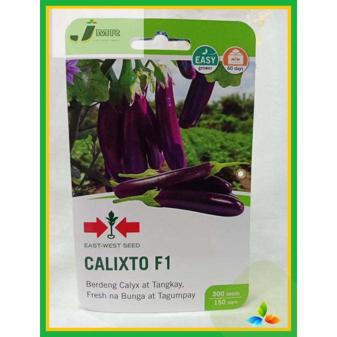 East West Calixto F1 Eggplant seeds Pack (300 seeds/pack) | Shopee ...