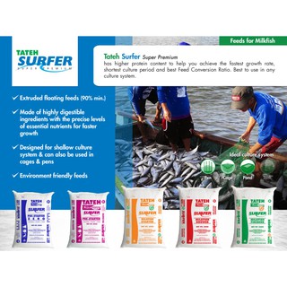 Tateh Aquafeeds Surfer Finisher 1kg Milkfish Bangus Feeds Floating ...