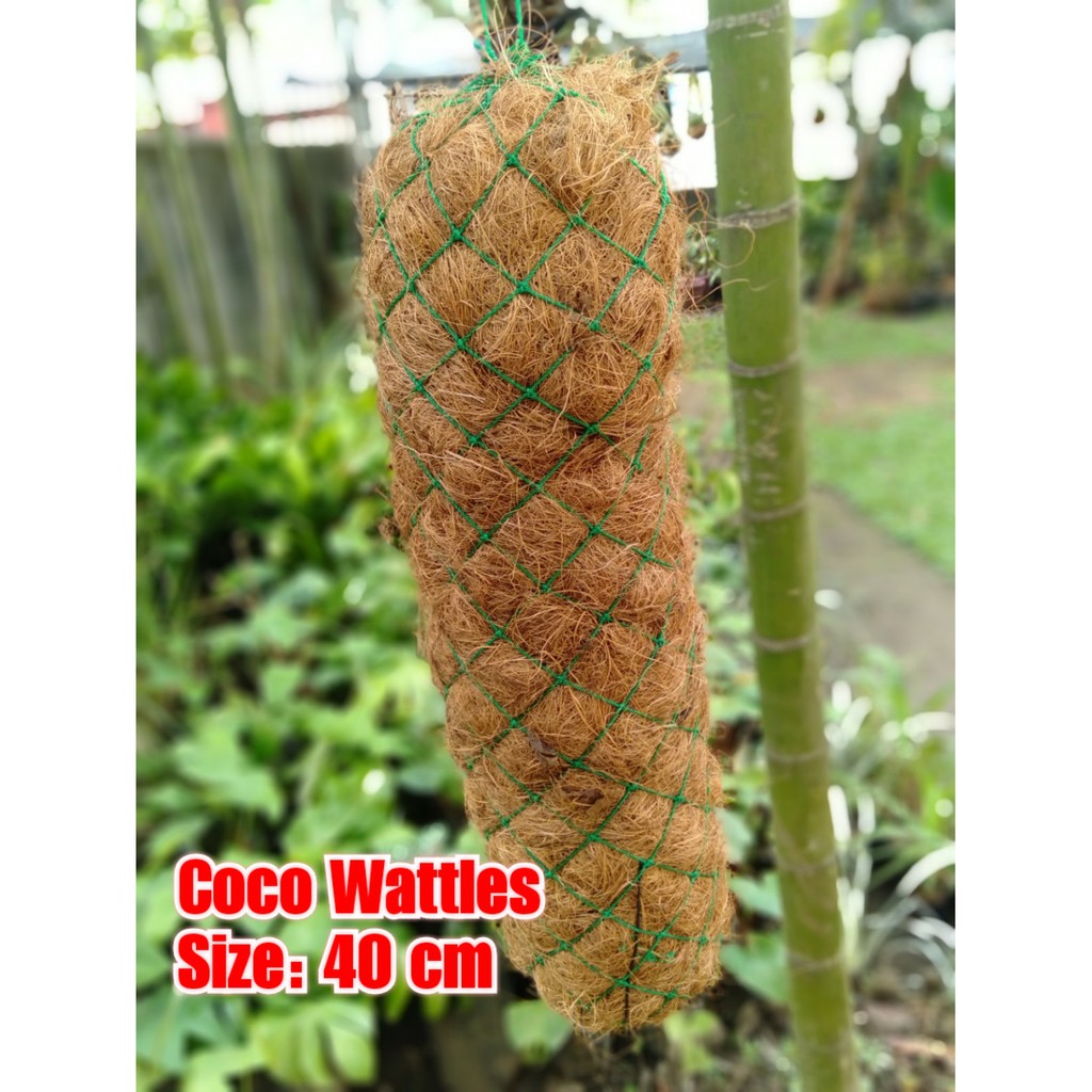 COCO FIBER WATTLES| 40cm Coco Wattles Best for Orchids and Hanging ...