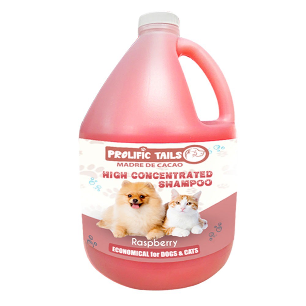 Chloe Bear, Online Shop | Shopee Philippines