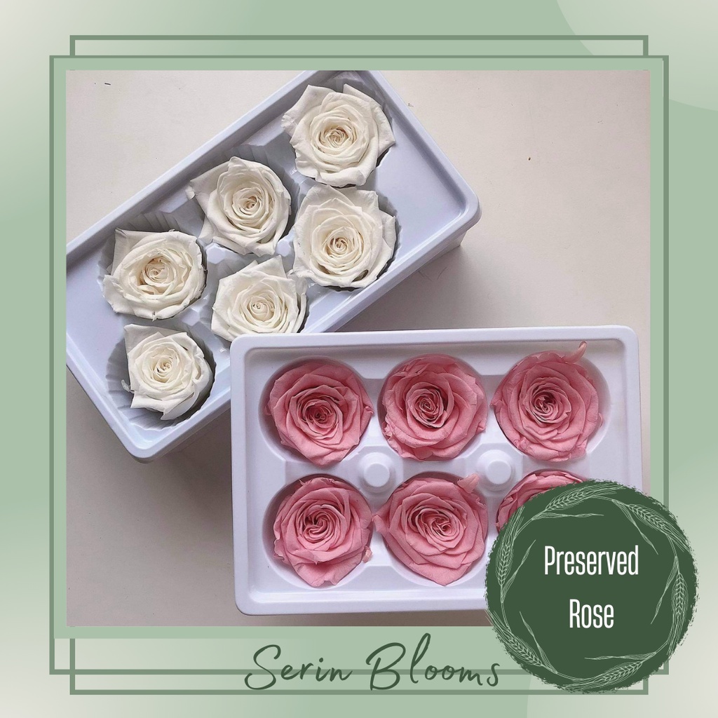 Real Preserved Rose sold per head | Shopee Philippines