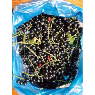 LUBEG AND BUGNAY WINE | Shopee Philippines