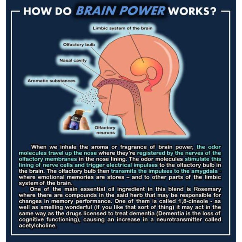 Memory Enhancer Aromatherapy | Brain Power Essential Oil | Brain ...
