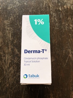 Derma T Topical Solution 30 ml for Acne | Shopee Philippines