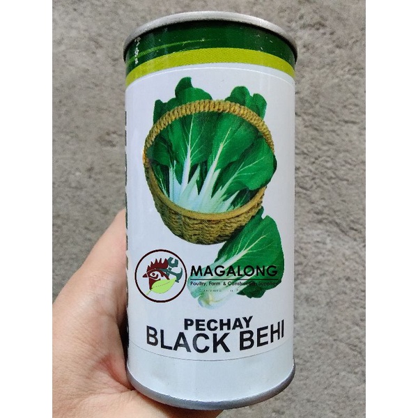 CONDOR SEEDS - PECHAY SEEDS - BLACK BEHI 100 Grams | Shopee Philippines