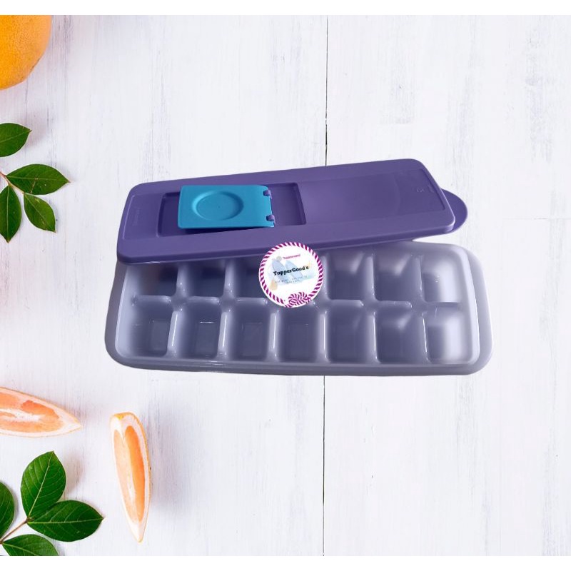 Tupperware Ice Cube Tray Mold Tray | Shopee Philippines