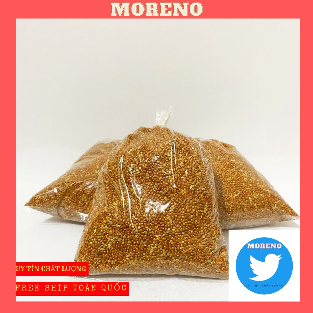 500g Large MORENO Red Knitting, shiny round seeds for parrots, sparrows ...