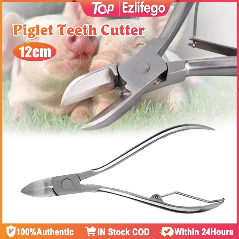 Stainless Steel Piglet Teeth Cutter 12cm Piglet Teeth Nipper Pig Teeth ...