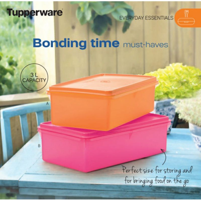 Tupperware Food Container Party Keeper 3L | Shopee Philippines