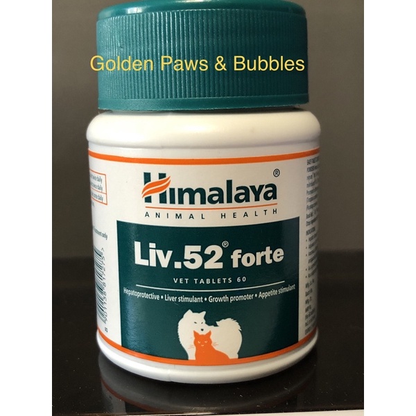 LIV 52 Forte Sold per bottle- 60 tablets | Shopee Philippines