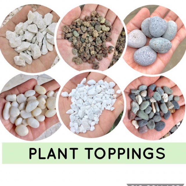 white Pebbles / Rocks / bulik / Lava rock / white Marble chips topper ...