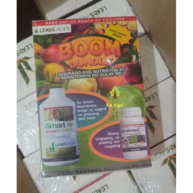 Boom Bundle Gulay (Brofreya insecticide +iSmart foliar Fertilizer ...