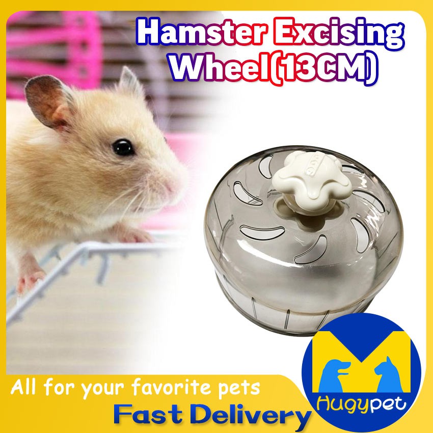Hamster Wheel Sports Toys Mute Running Wheel Squirrel Chinchillas Mouse ...