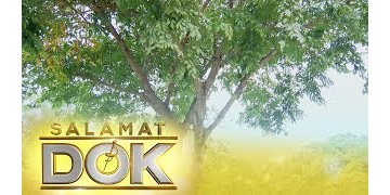 Ecarma Health Options, Online Shop | Shopee Philippines