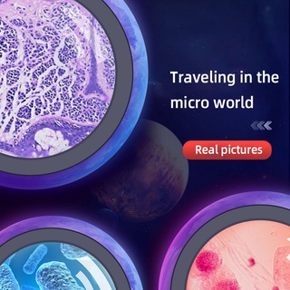 Biological Microscope LED Light 1200 3000X Microscope For Laboratory ...