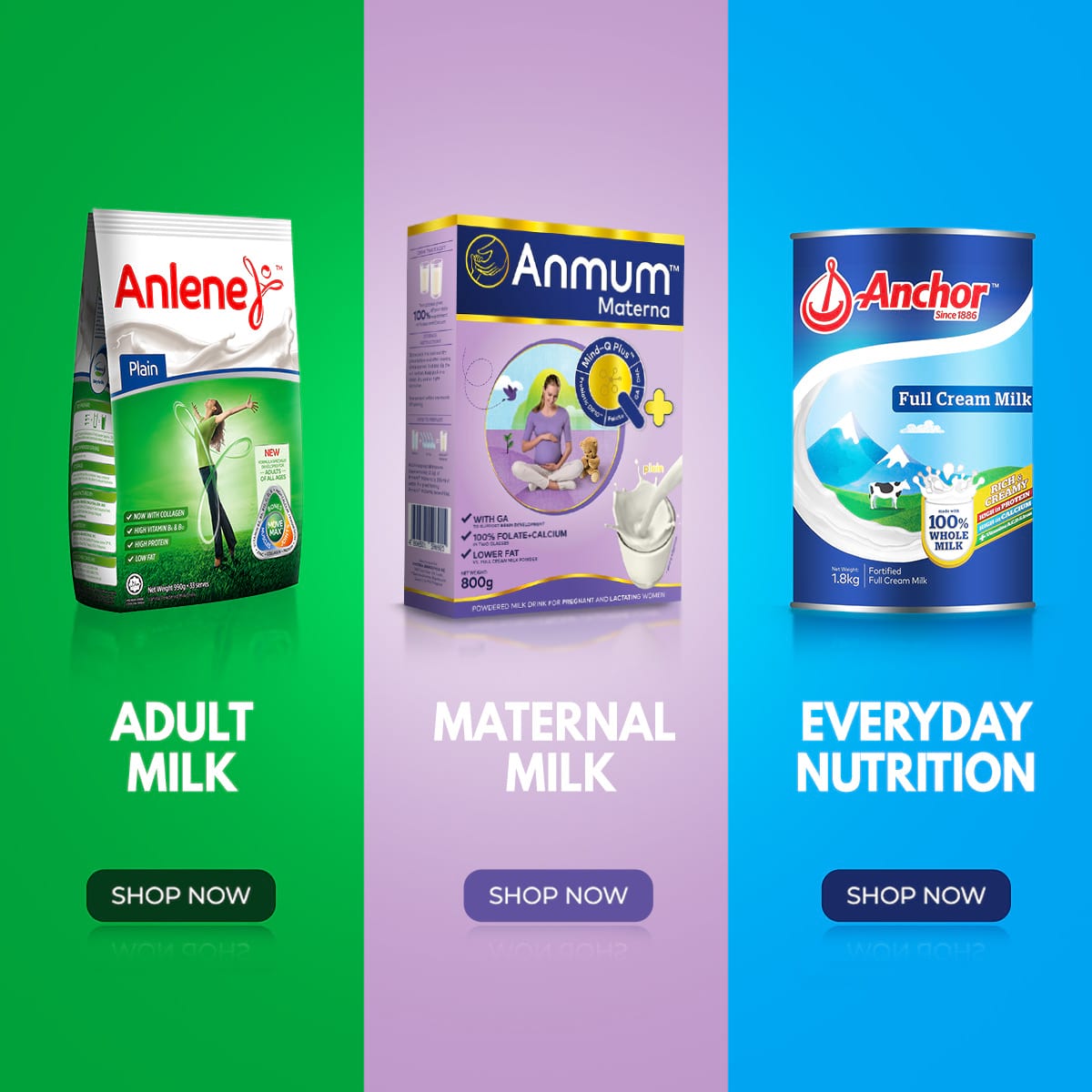 Fonterra Dairy for Life, Online Shop | Shopee Philippines