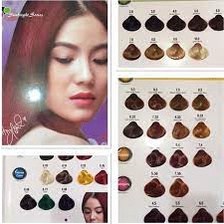 SUNBRIGHT SERIES HAIR COLOR CHART | Shopee Philippines