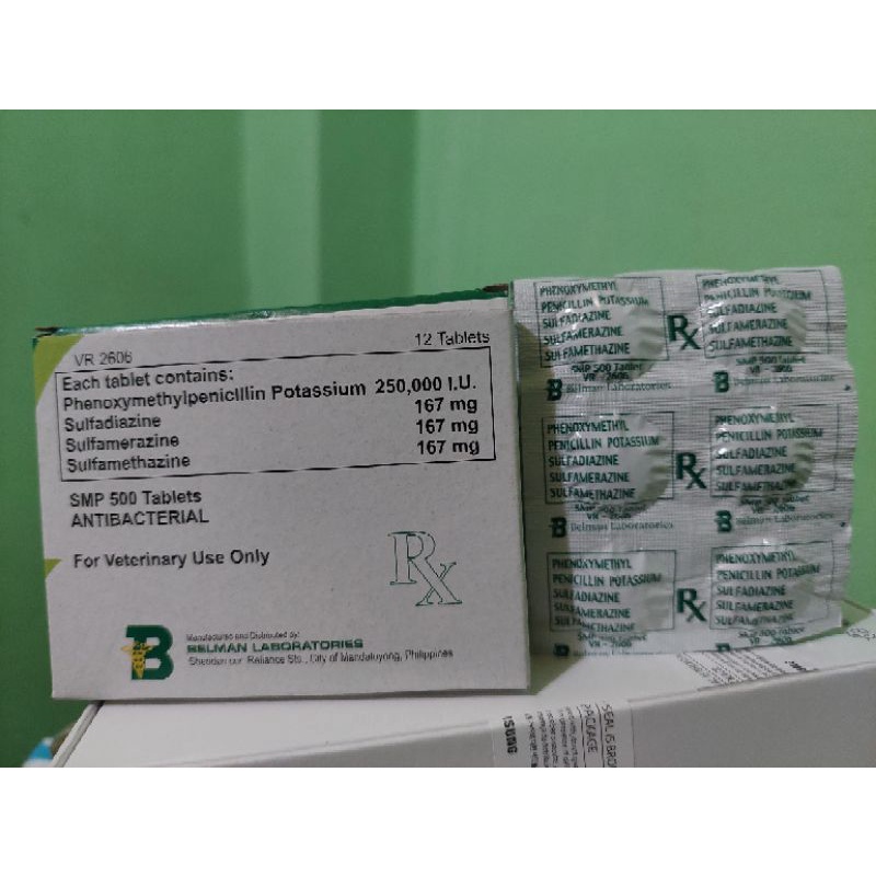 SMP 500 12 TABLETS PER PACK | Shopee Philippines