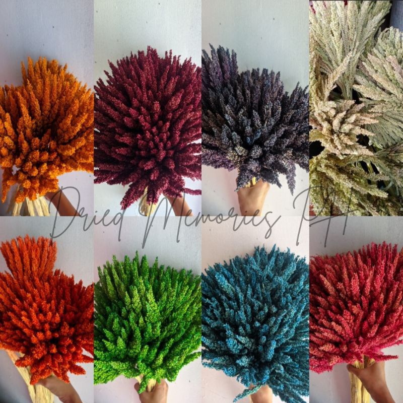 (1BUNCH)Dried Trigo Flower /Real Flower/ Dried Flower | Shopee Philippines
