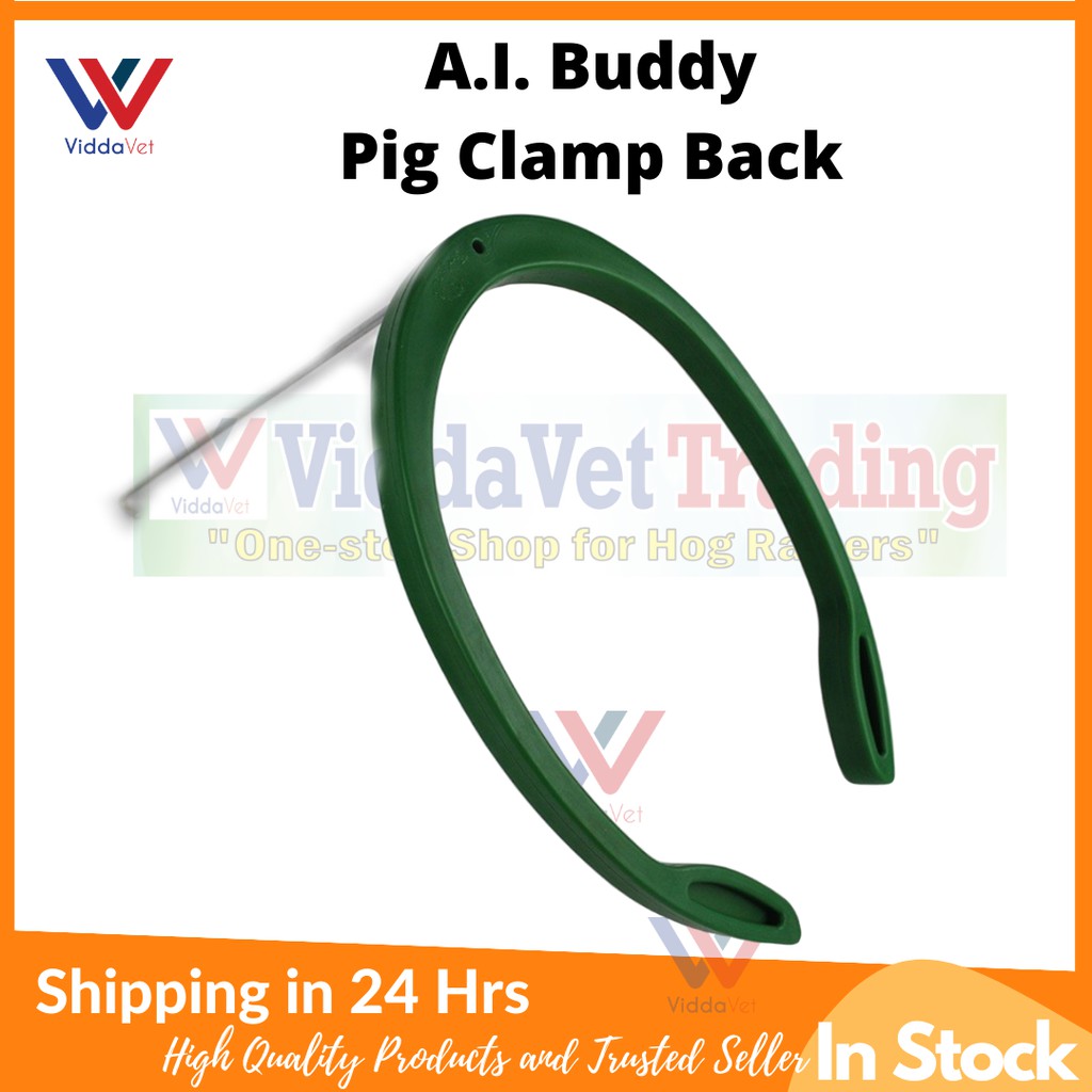 Sow AI Buddy Pig back clamp apply on pig artificial inse.mination in ...