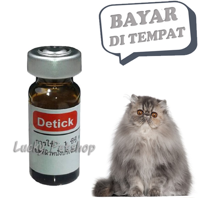 Anti Drug Drug Cat Dog DETICK 1MM | Shopee Philippines
