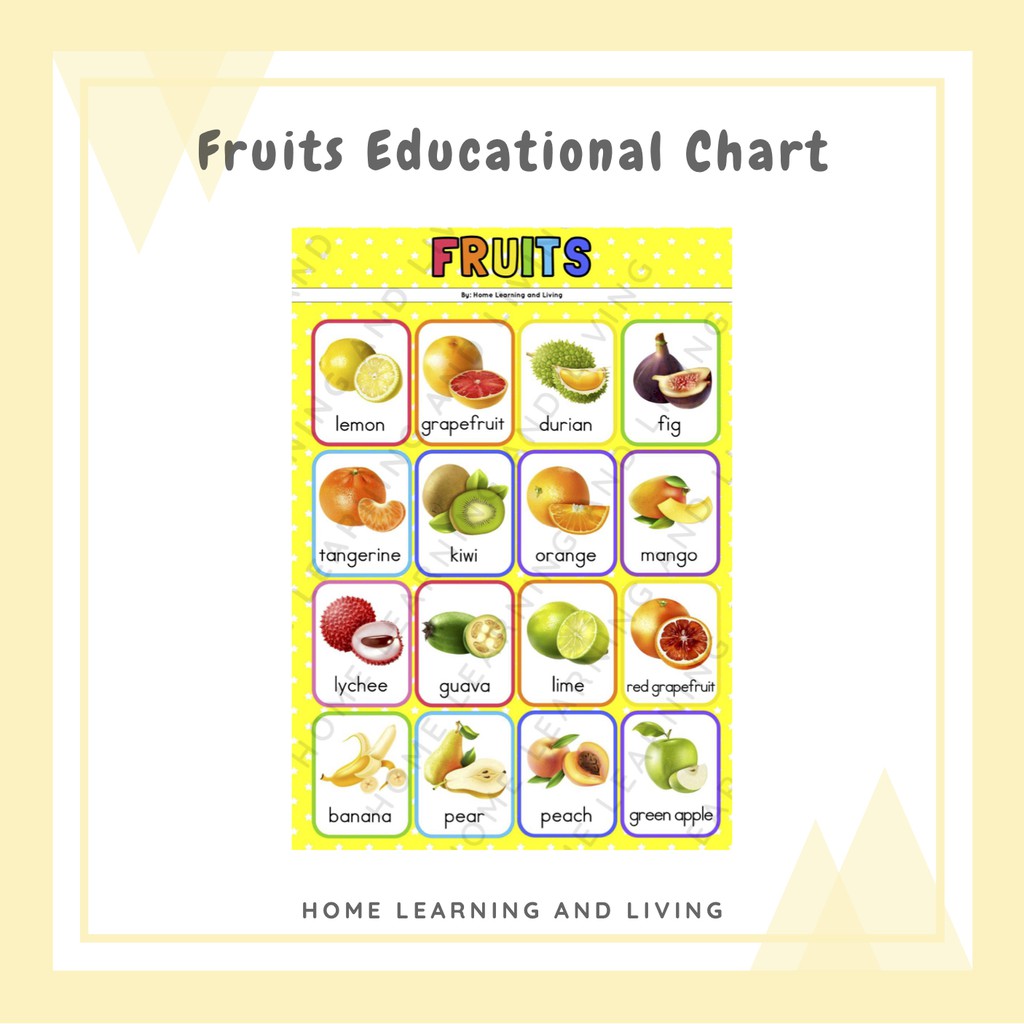 Fruits Educational A4 Chart & Poster for Preschool & Kindergarten ...