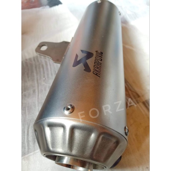 AKRAPOVIC GP BULLET TITANIUM SILVER BIG Exhaust Muffler Pipe Open Fz ns ...
