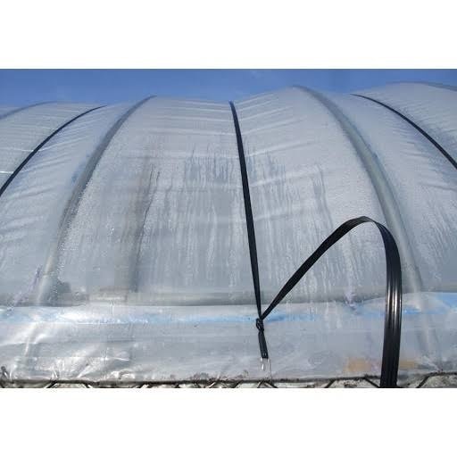 Wind strap for greenhouse 10meter | Shopee Philippines