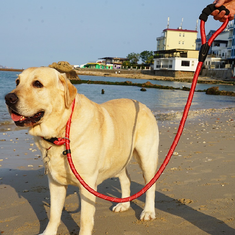 Pet Dog Leash Rope Adjustable Training Lead Dog Strap Rope | Shopee ...