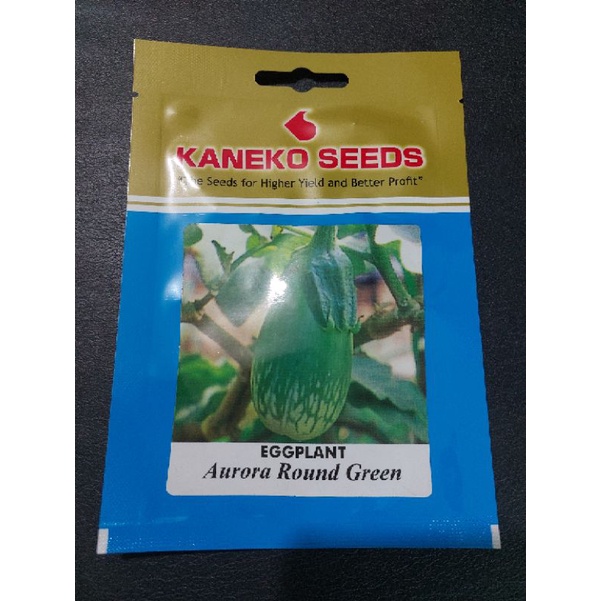Aurora Round Green (2 grams) Round Eggplant / Talong Bilog by Kaneko ...