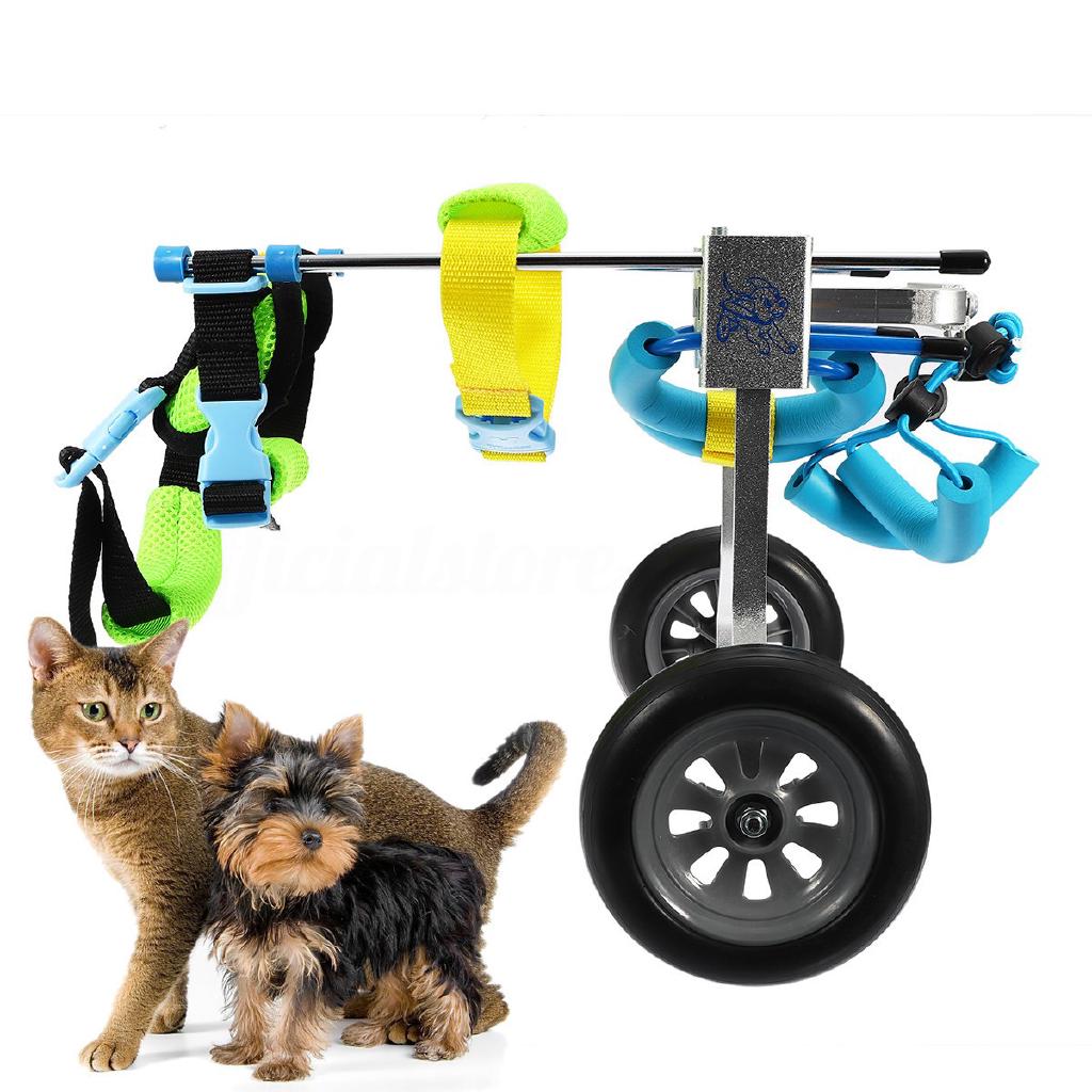 wheelchair - Prices and Online Deals - Aug 2020 | Shopee Philippines