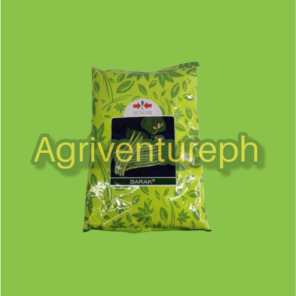 BARAK SNAP BEANS (KILO) BAGUIO BEANS SEEDS BY EAST WEST SEEDS | Shopee ...