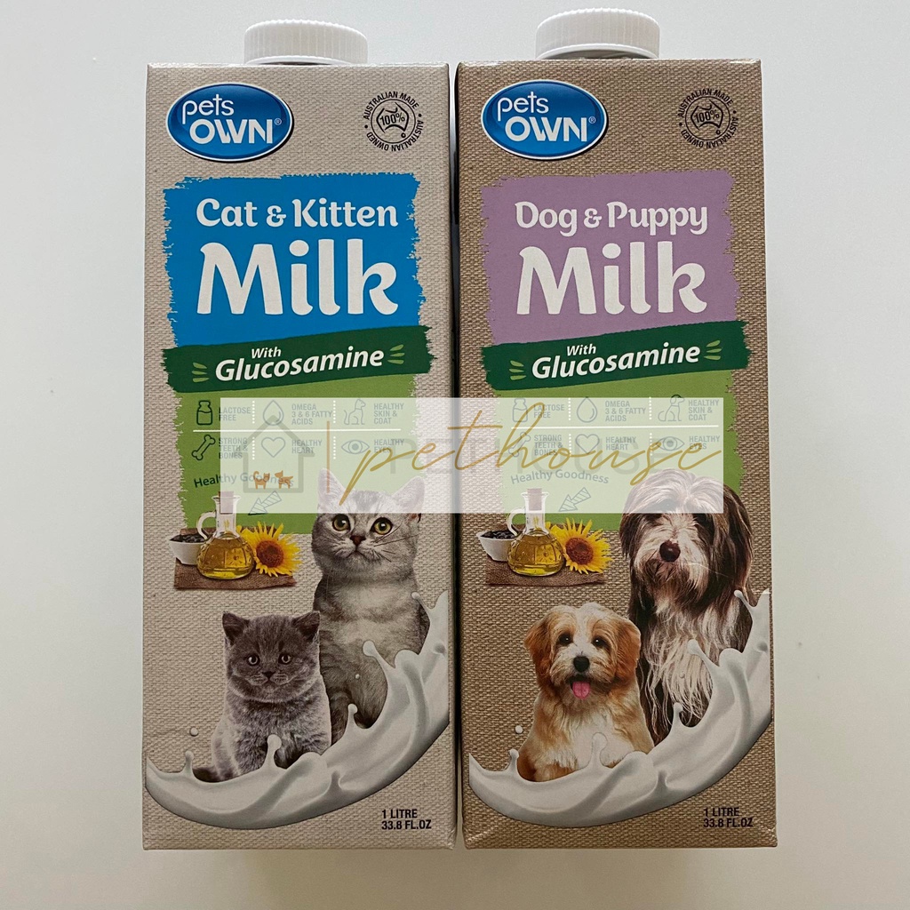 Can A Cat Get Milk From A Dog