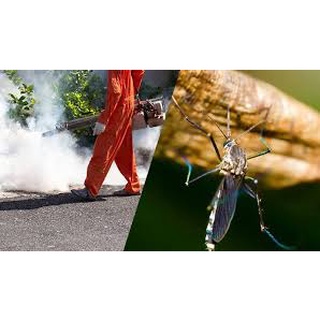 Resigen EC Bayer Permethrin Fogging Solution for Mosquito Control and ...