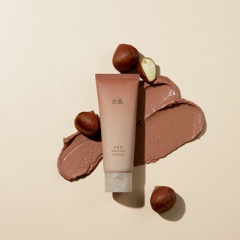 Hanyul Soft Chestnut Flawless Sebum Pore Clay Mask 100ml | Shopee ...