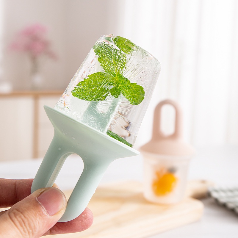 Single Popsicle Box With Ring Handle DIY homemade Ice-Lolly Popsicle ...