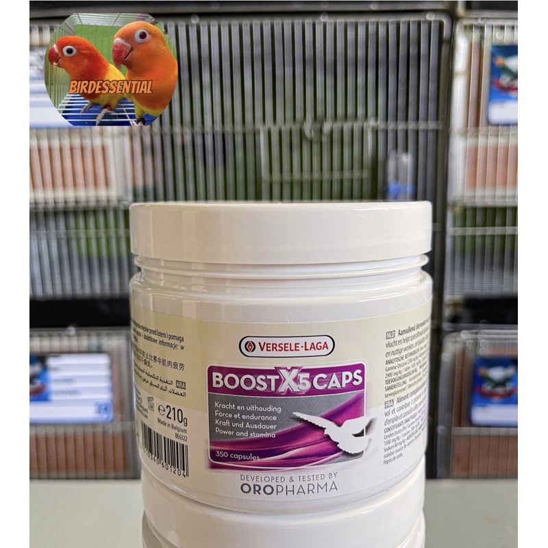 Boost X5 Caps Versele-laga 350 caps | Shopee Philippines
