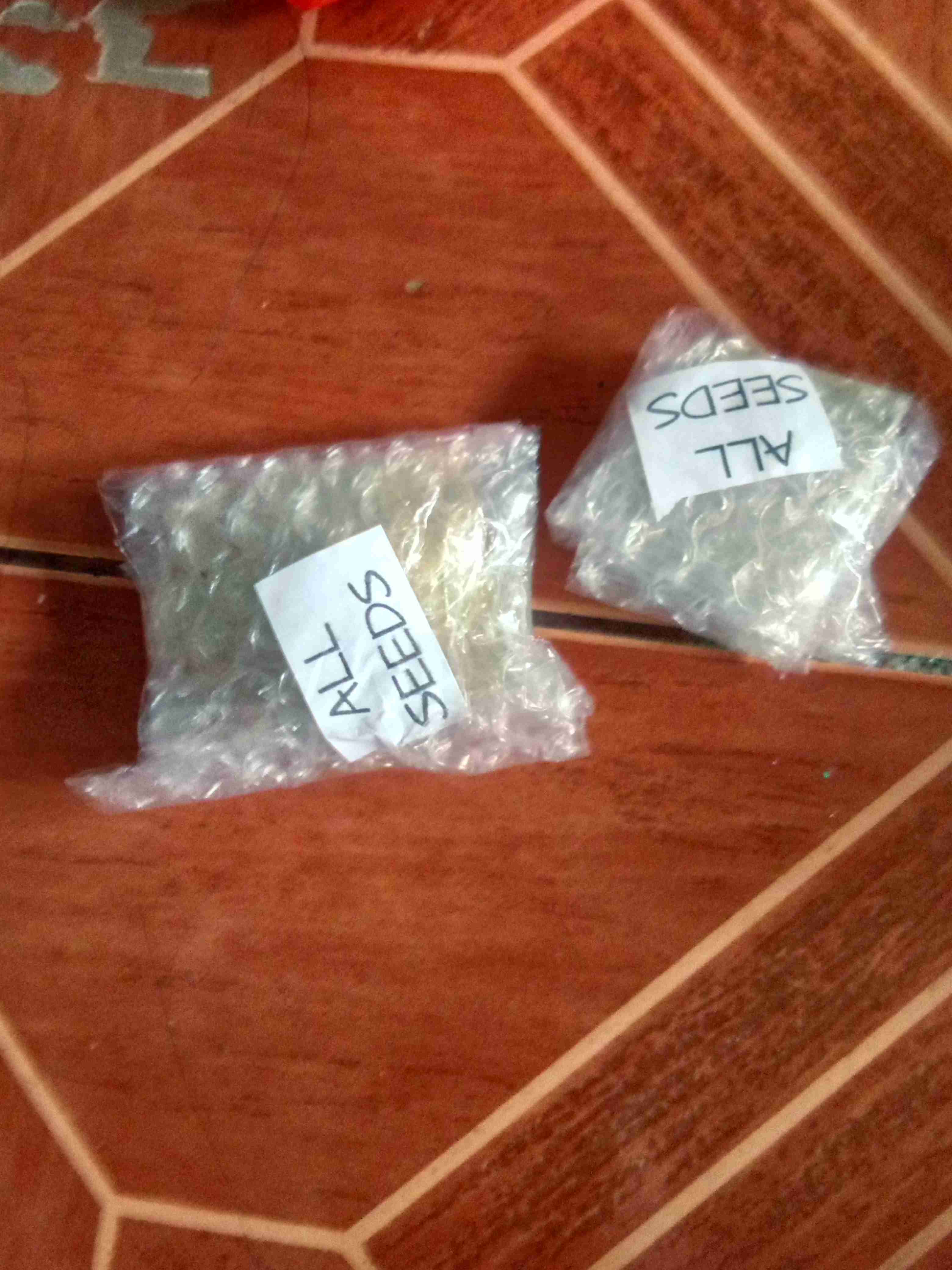 lima beans butter legumes vegetable seeds patani | Shopee Philippines