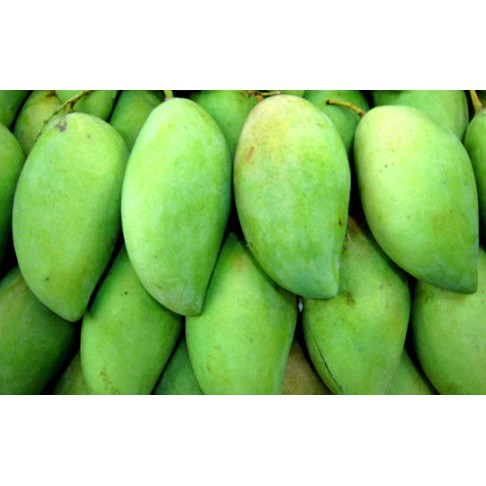Pico Mangoes (Manggang Piko), 45% OFF
