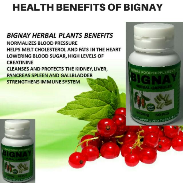 Bignay Herbal Capsules 50Capsules | Shopee Philippines