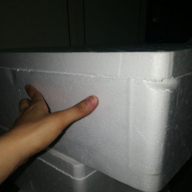 STYRO BOX / HYDROPONICS STYRO BOX / TUNA BOX | Shopee Philippines