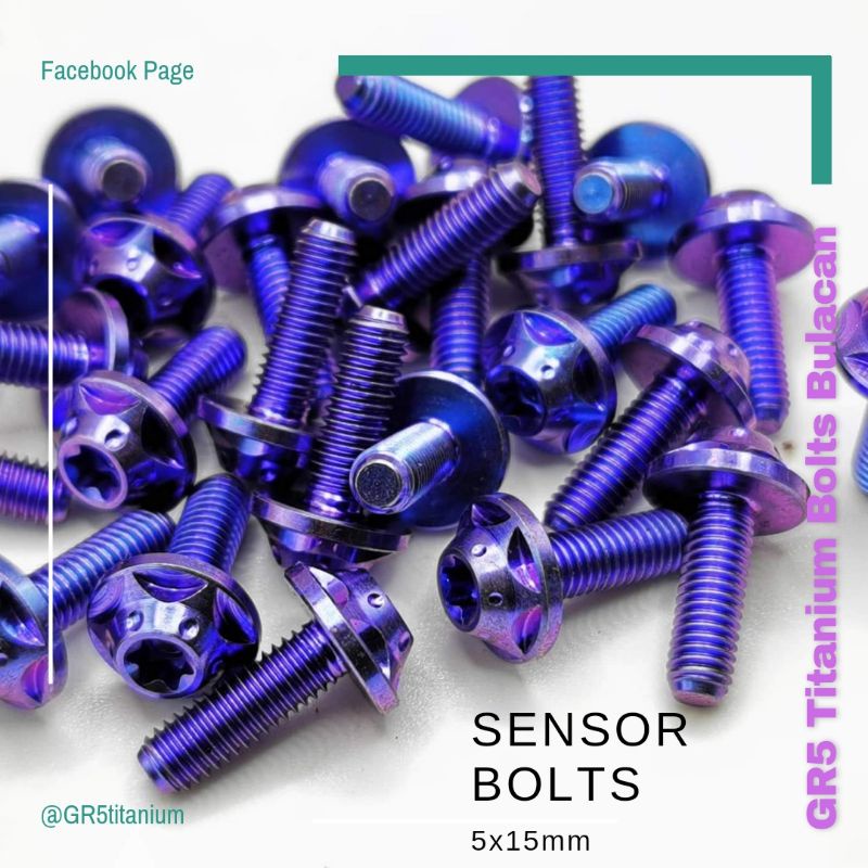 TITANIUM SCREW GR5 SENSOR BOLTS 5X15 THREAD (1PC) | Shopee Philippines
