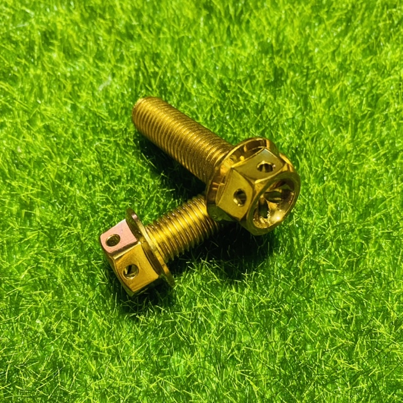 Thai Bolts Heng 8x30, 8x20, 8x25, 10x35, Banjo 10x20 | Shopee Philippines