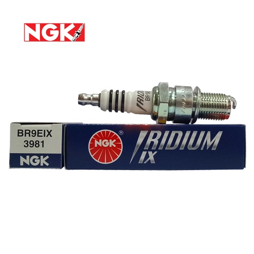 NGK Spark Plugs Br9Eix Plug | Shopee Philippines