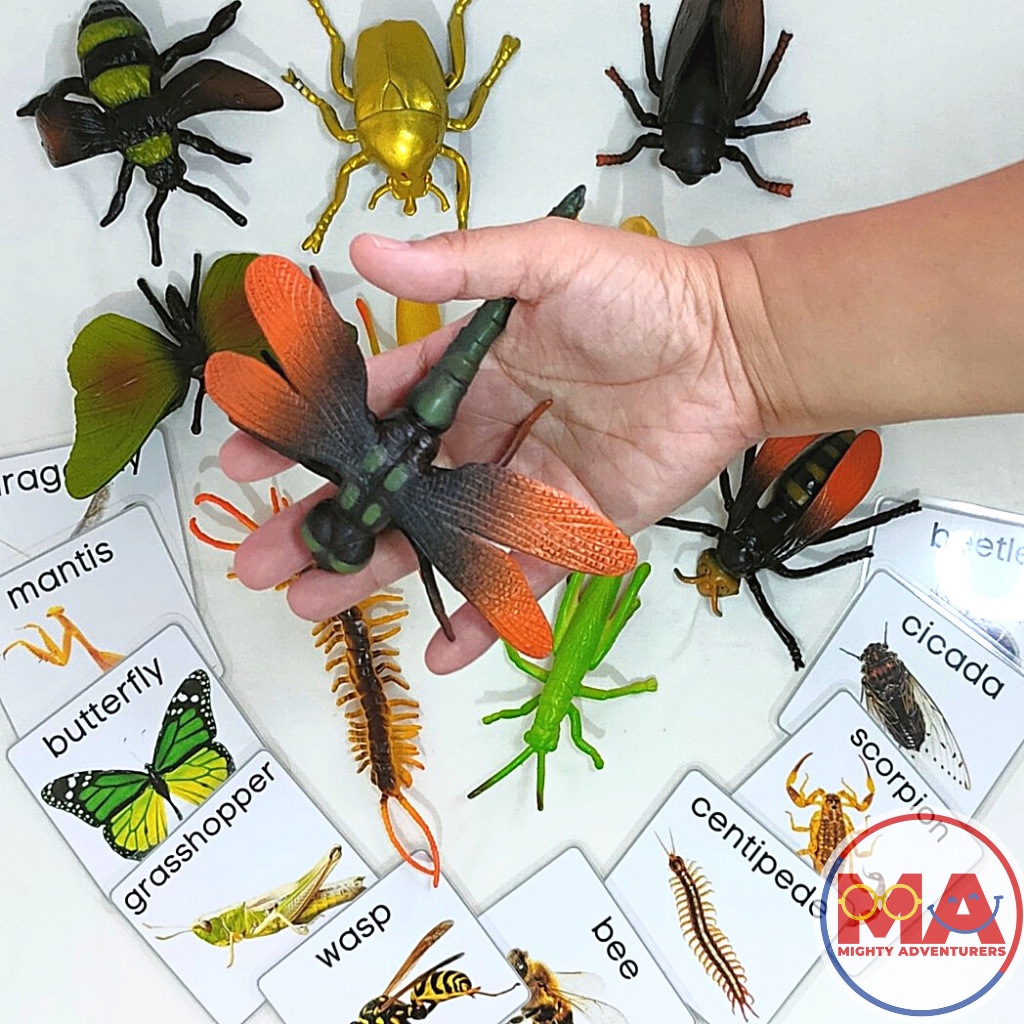 MA • INSECTS • BIG SIZE Montessori Learning Toy with matching cards ...