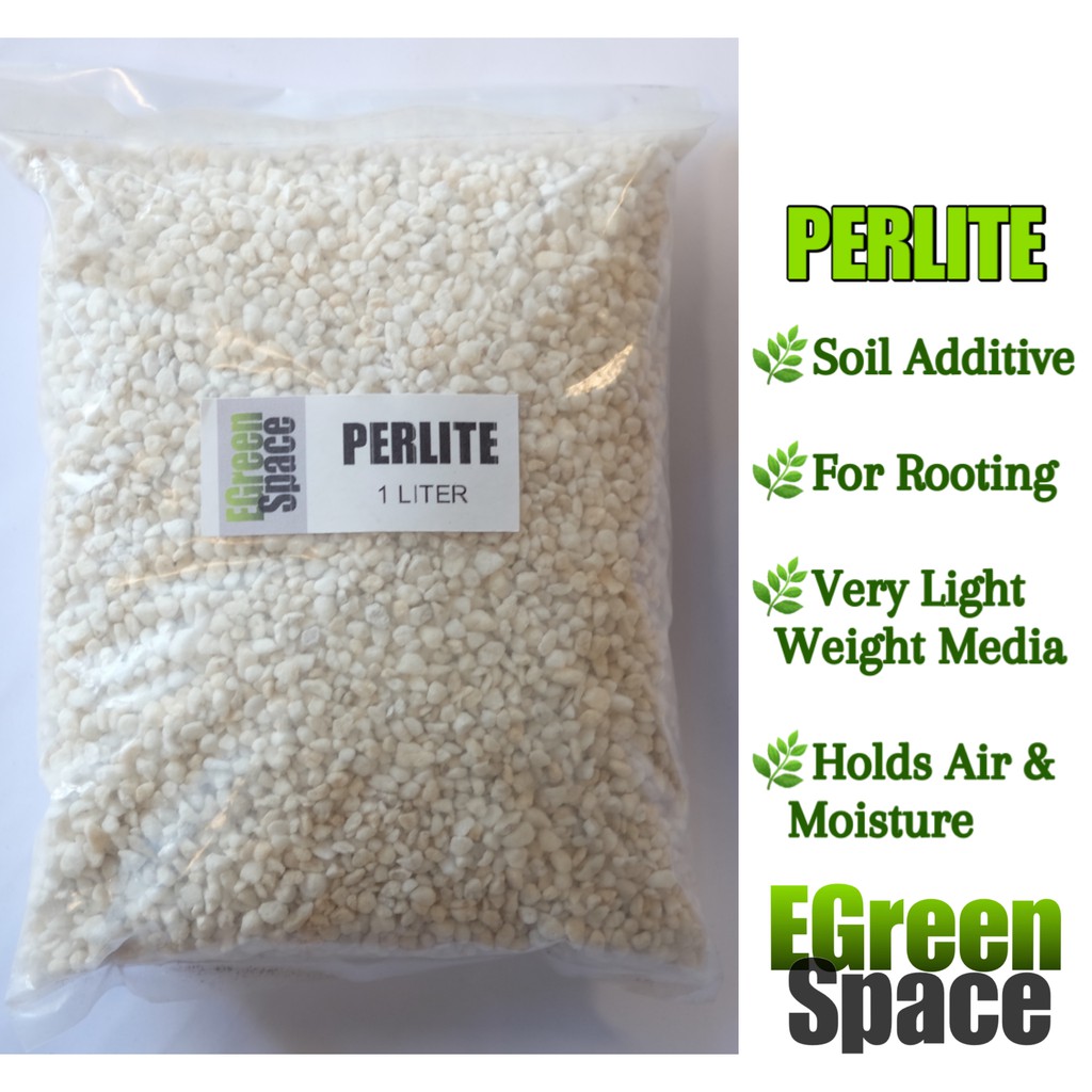 PERLITE (1 LITRE CUP) Volcanic Glass | Shopee Philippines