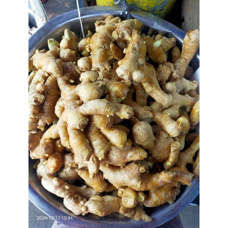 500 grams fresh ginger ( luya ) for sale | Shopee Philippines
